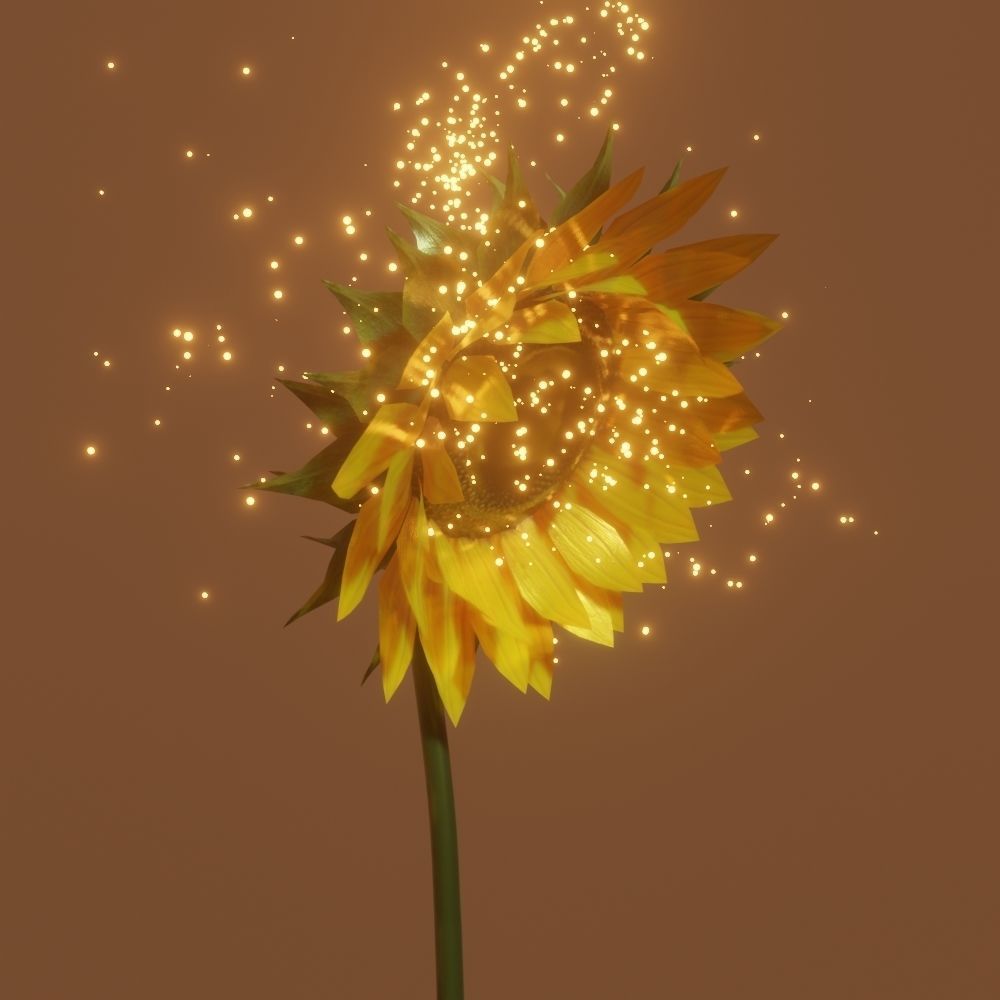 sunflower 3D model animated rigged | CGTrader