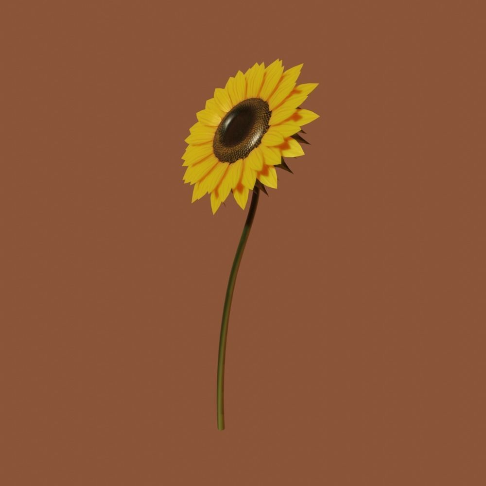 sunflower 3D model animated rigged | CGTrader
