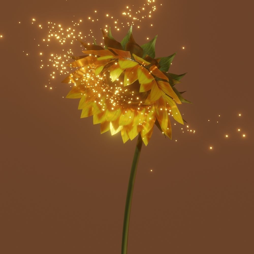 sunflower 3D model animated rigged | CGTrader