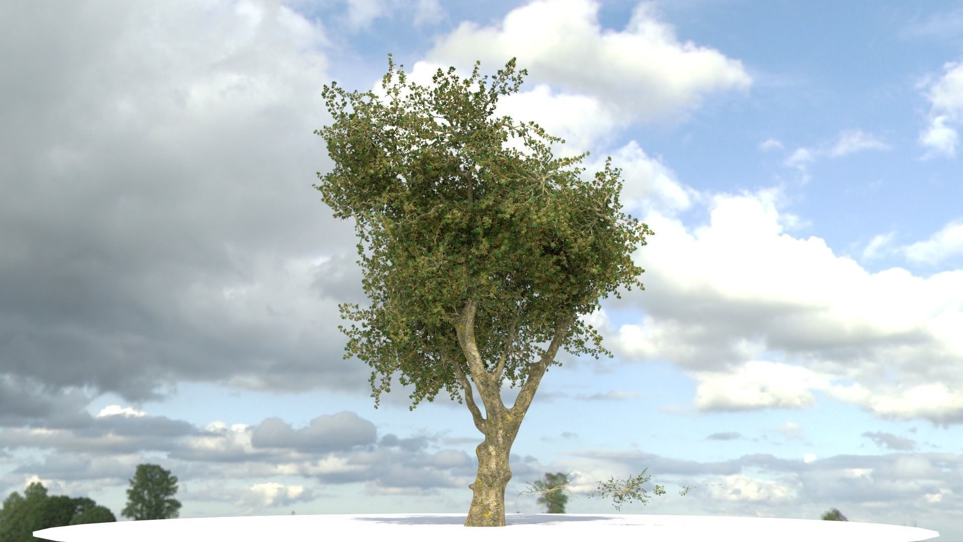 Dogu Cinari - Platanus Orientalis free VR / AR / low-poly 3D model ...