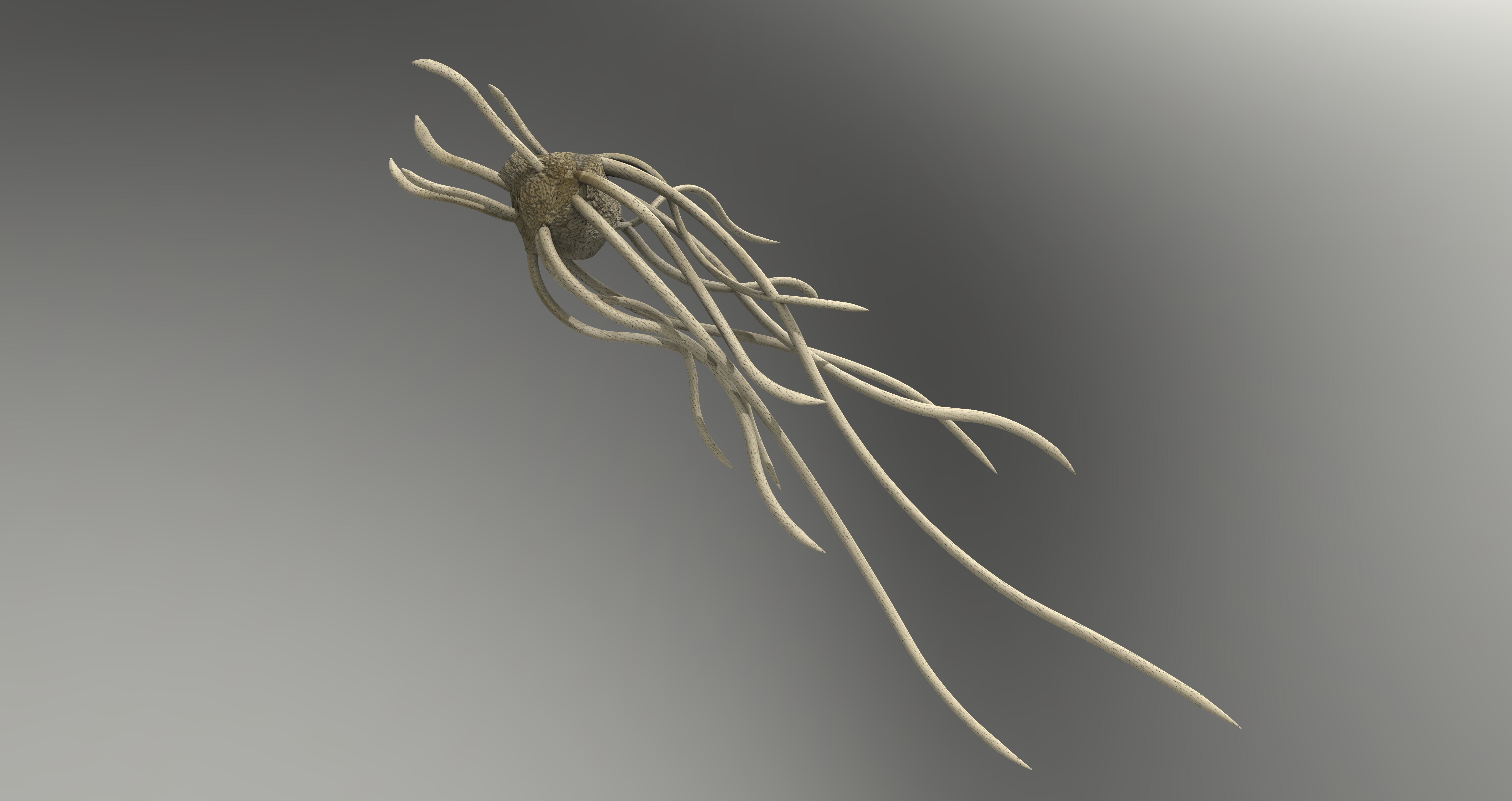 Pathogenic Organism free 3D model | CGTrader