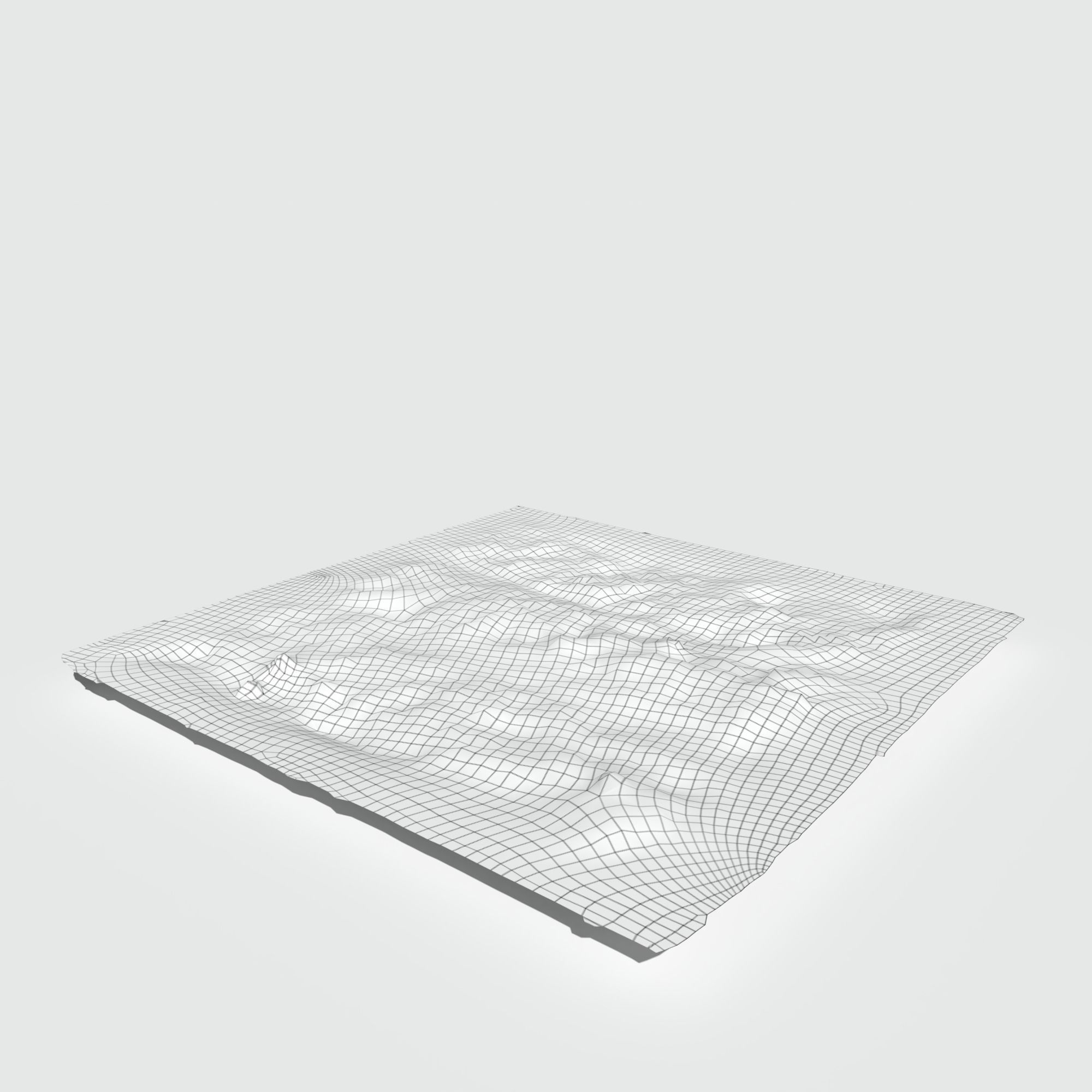 Grass Leaf Starwort Meadow Patch 3D model | CGTrader