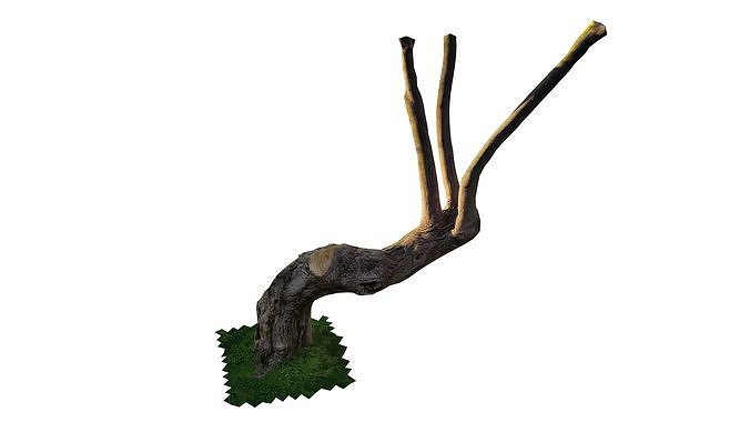 3D model low poly three branches of tree VR / AR / low-poly | CGTrader
