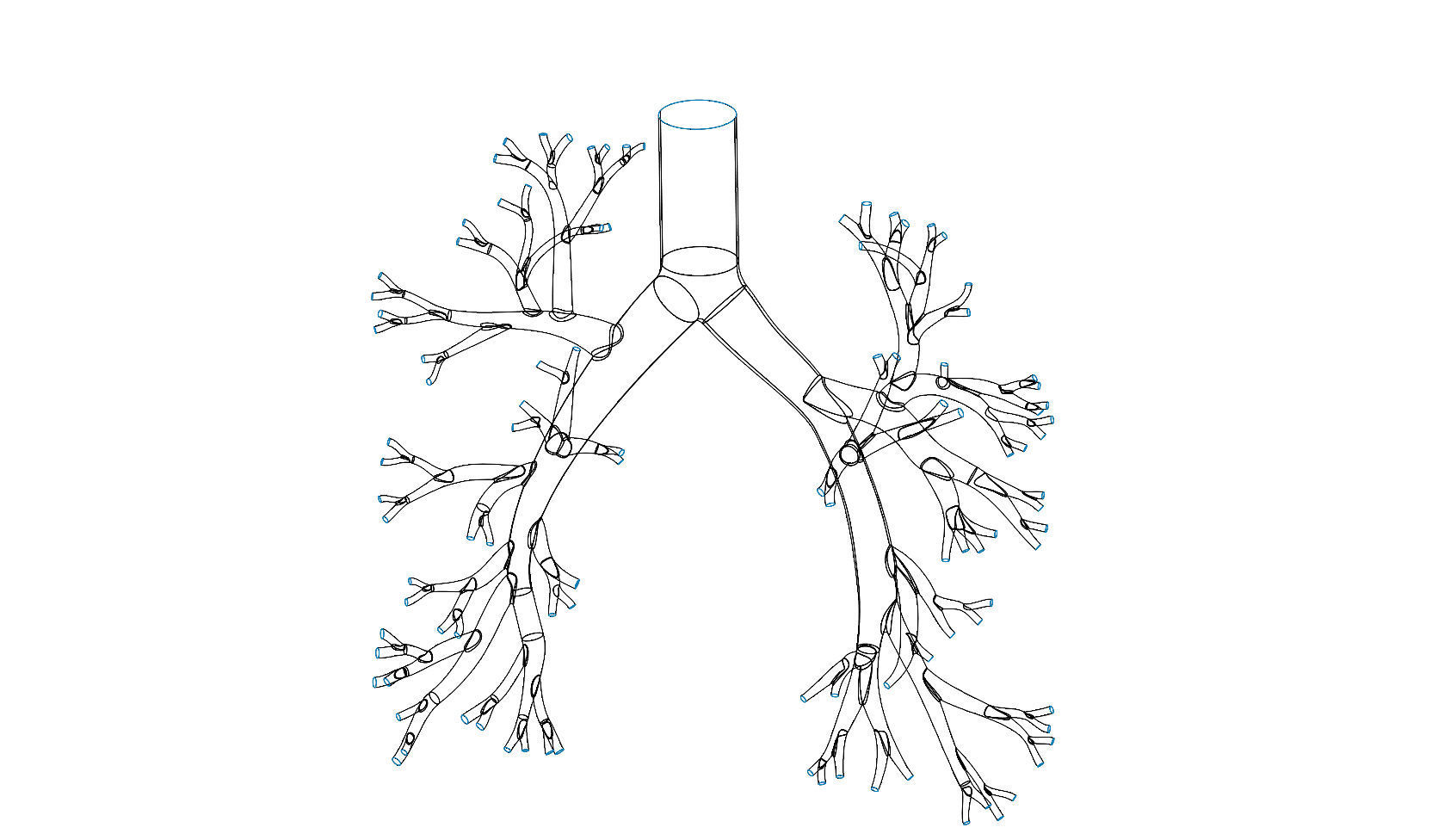 Bronchial tree 3d model for 3d printing CFD and FEA 3D model 3D ...
