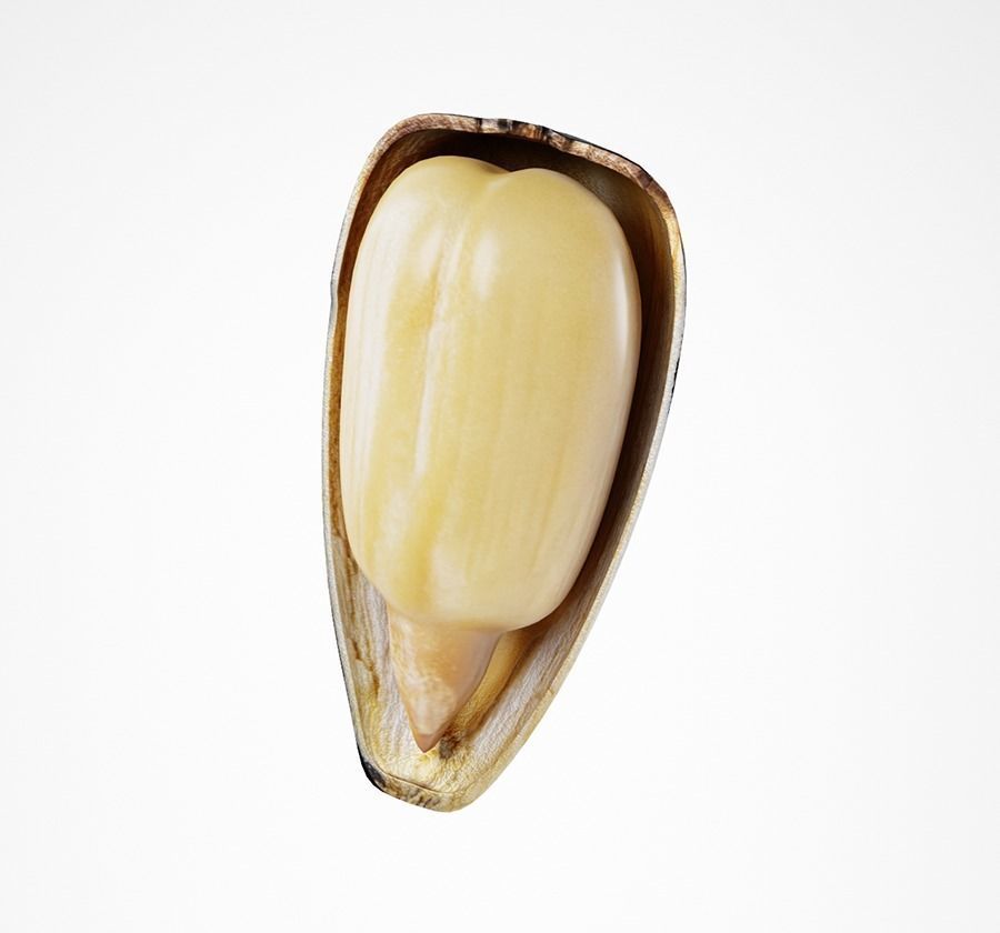 3D model Cracked Sunflower Seed Low-poly 3D model VR / AR / low-poly ...