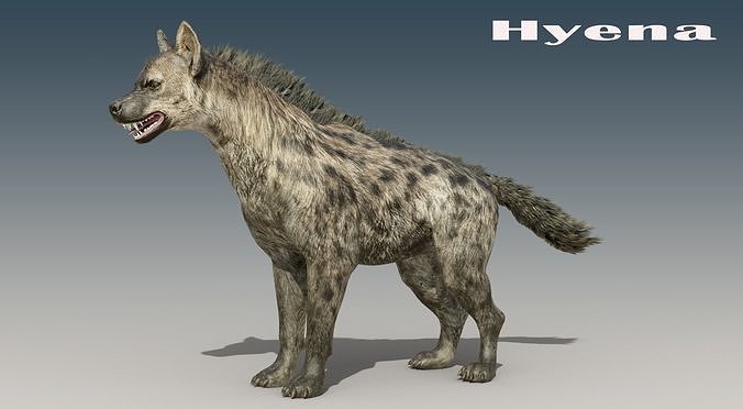 3D model Hyena Rigged VR / AR / low-poly | CGTrader