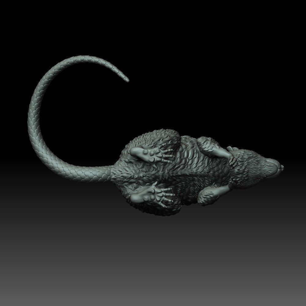 rat mouse 3D model 3D printable | CGTrader
