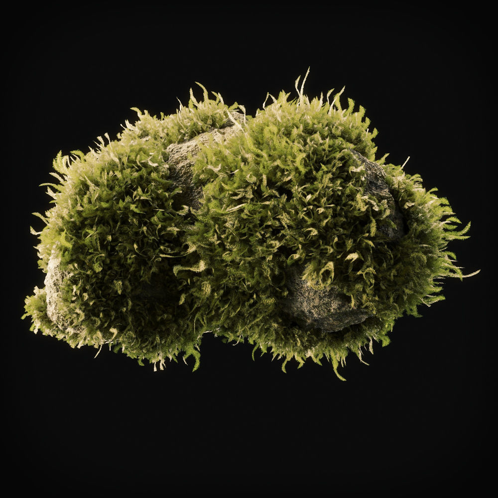 3D model Moss Low Poly 11 VR / AR / low-poly | CGTrader