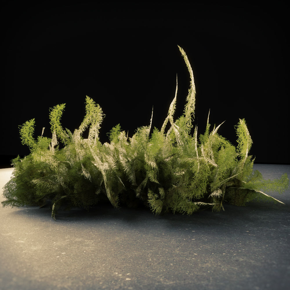 3D model Moss Low Poly 11 VR / AR / low-poly | CGTrader