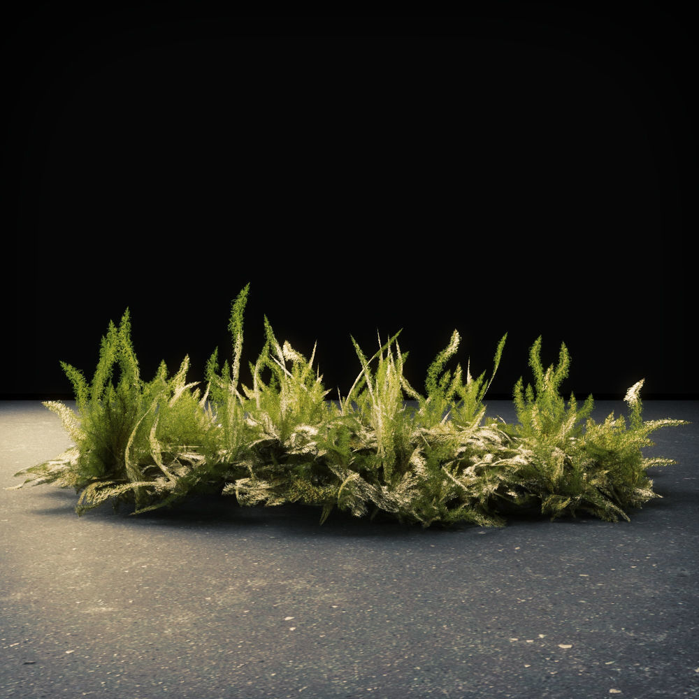 3D model Moss Low Poly 14 VR / AR / low-poly | CGTrader