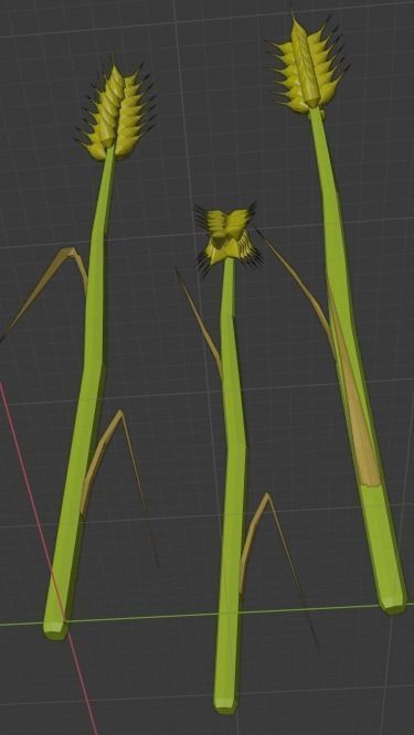 Lowpoly wheat model plant free VR / AR / low-poly 3D model | CGTrader