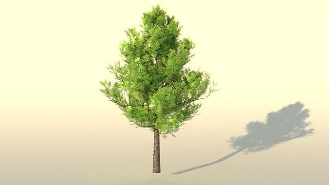 3D model low poly realistic and game ready tree VR / AR / low-poly ...