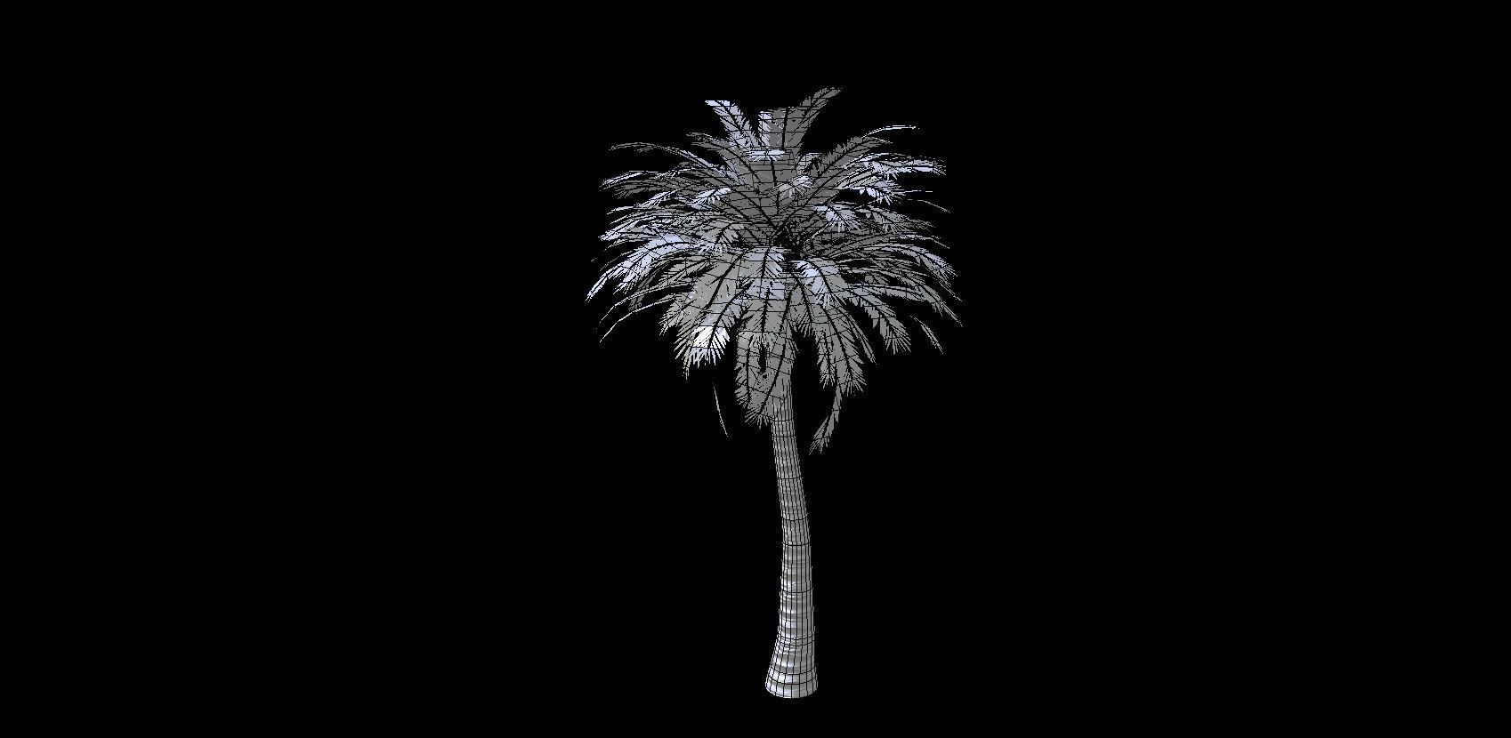 3D model Animated Date Tree 3d Game Props VR / AR / low-poly rigged ...