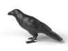 3D model Crow Low Poligonal VR / AR / low-poly | CGTrader