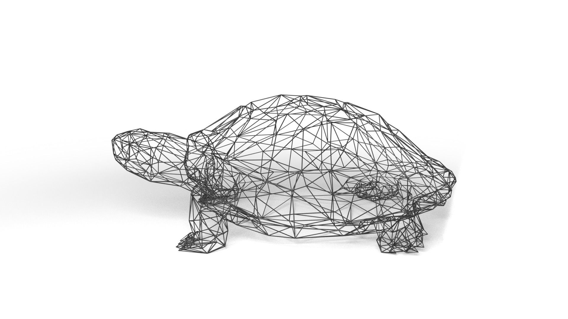 3D model Turtle Wireframe VR / AR / low-poly | CGTrader