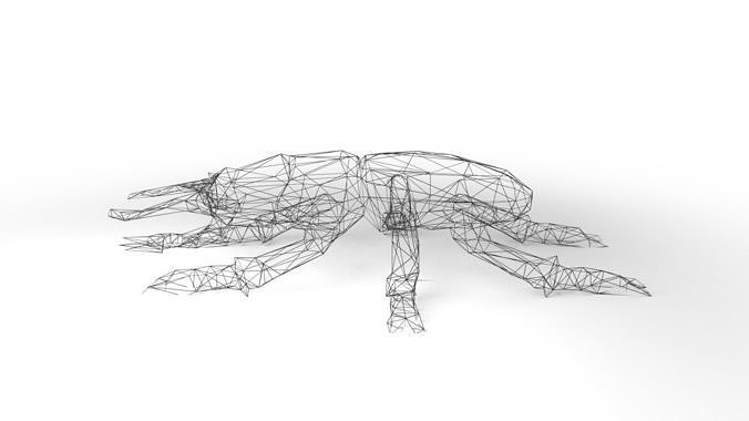 3D model Stagbeetle Wireframe VR / AR / low-poly | CGTrader