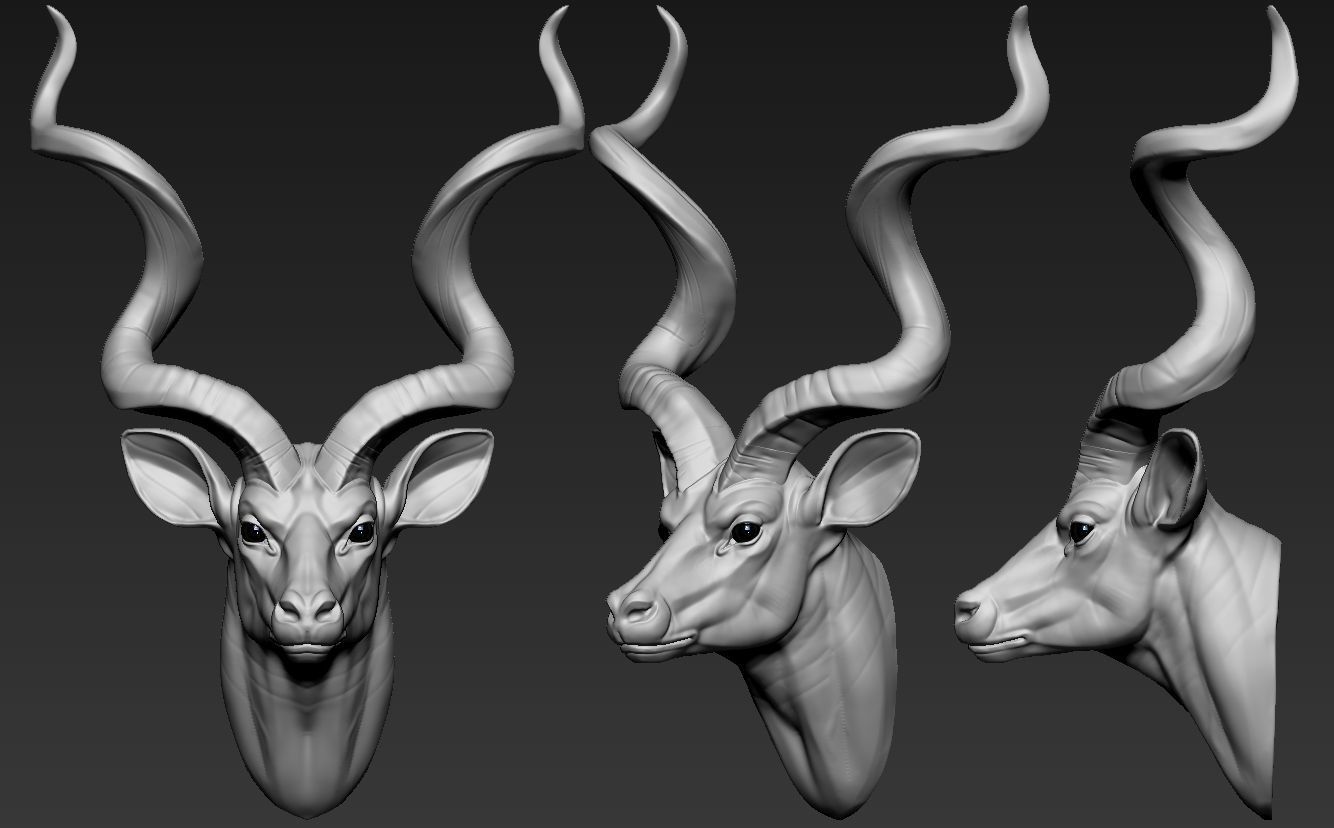 Greater kudu 3D model 3D printable | CGTrader