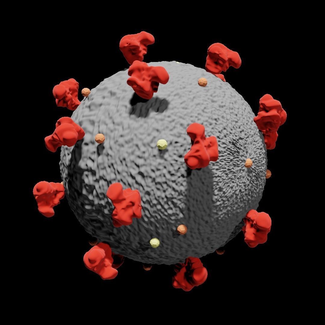 Corona model 3D model | CGTrader