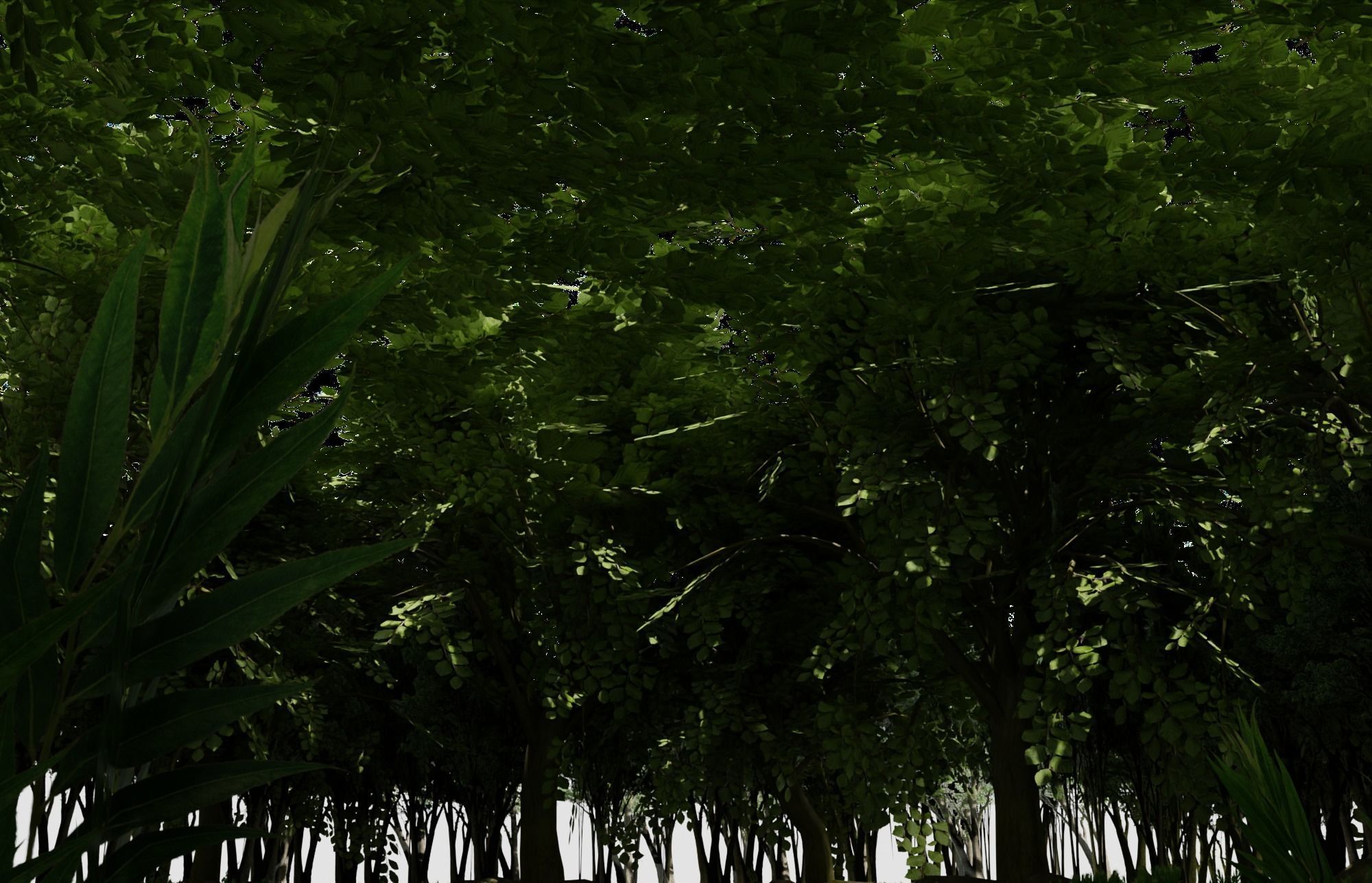 3D model Swamp forest VR / AR / low-poly | CGTrader