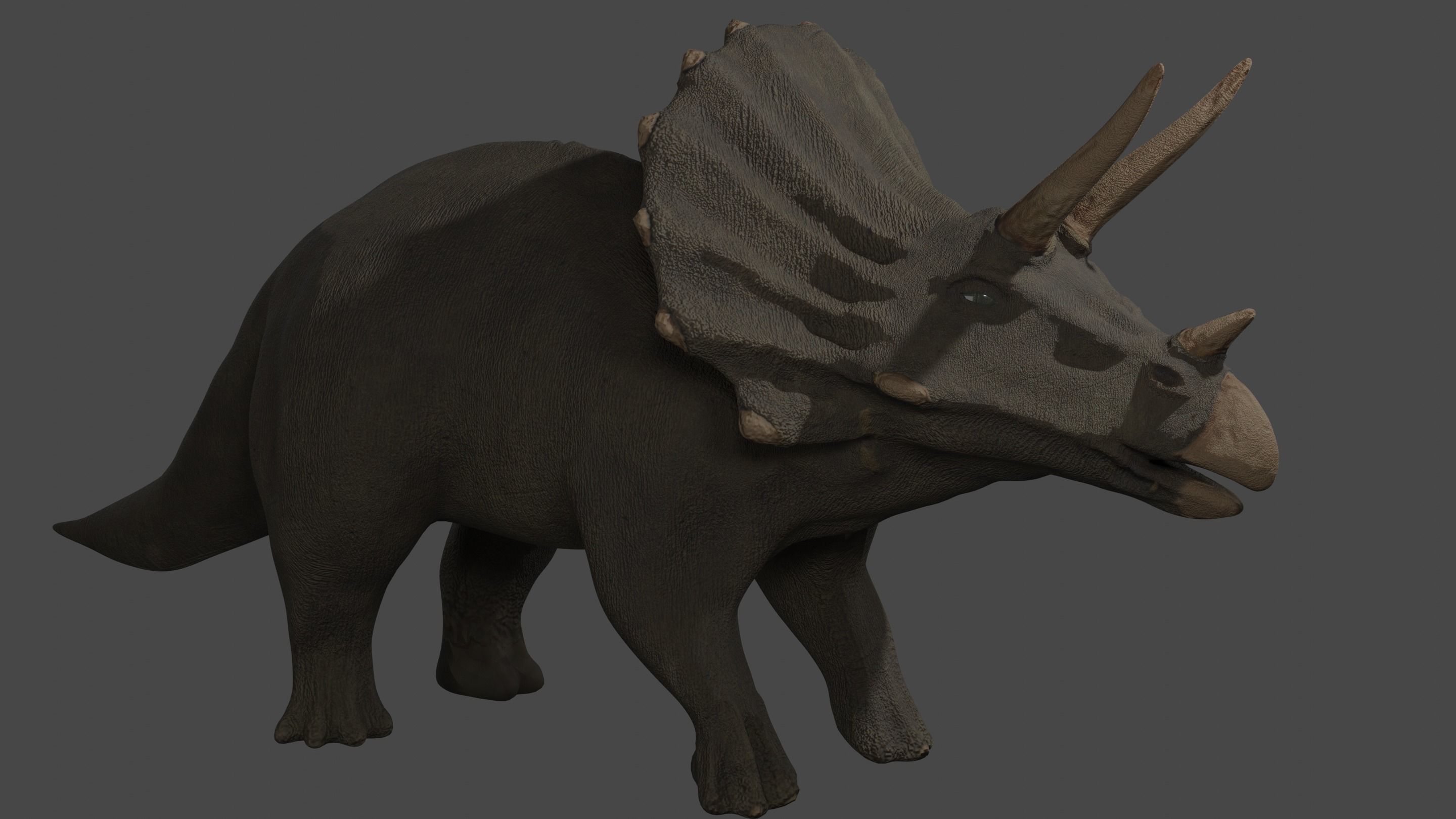 triceratops 3D model paleontology | CGTrader