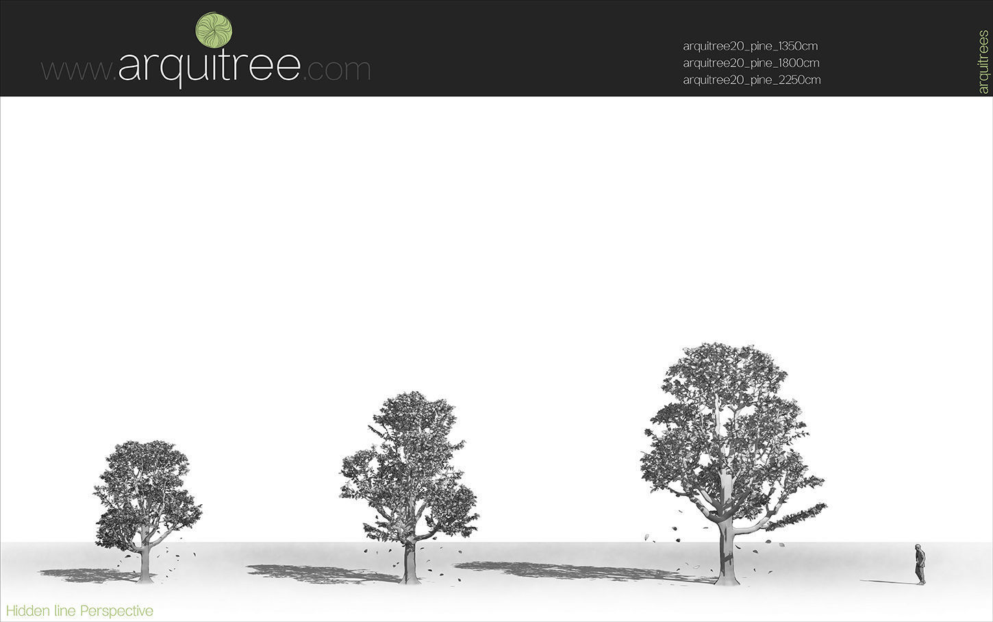 Revit scalable and detailed tree arquitree22 detailed 3D model | CGTrader
