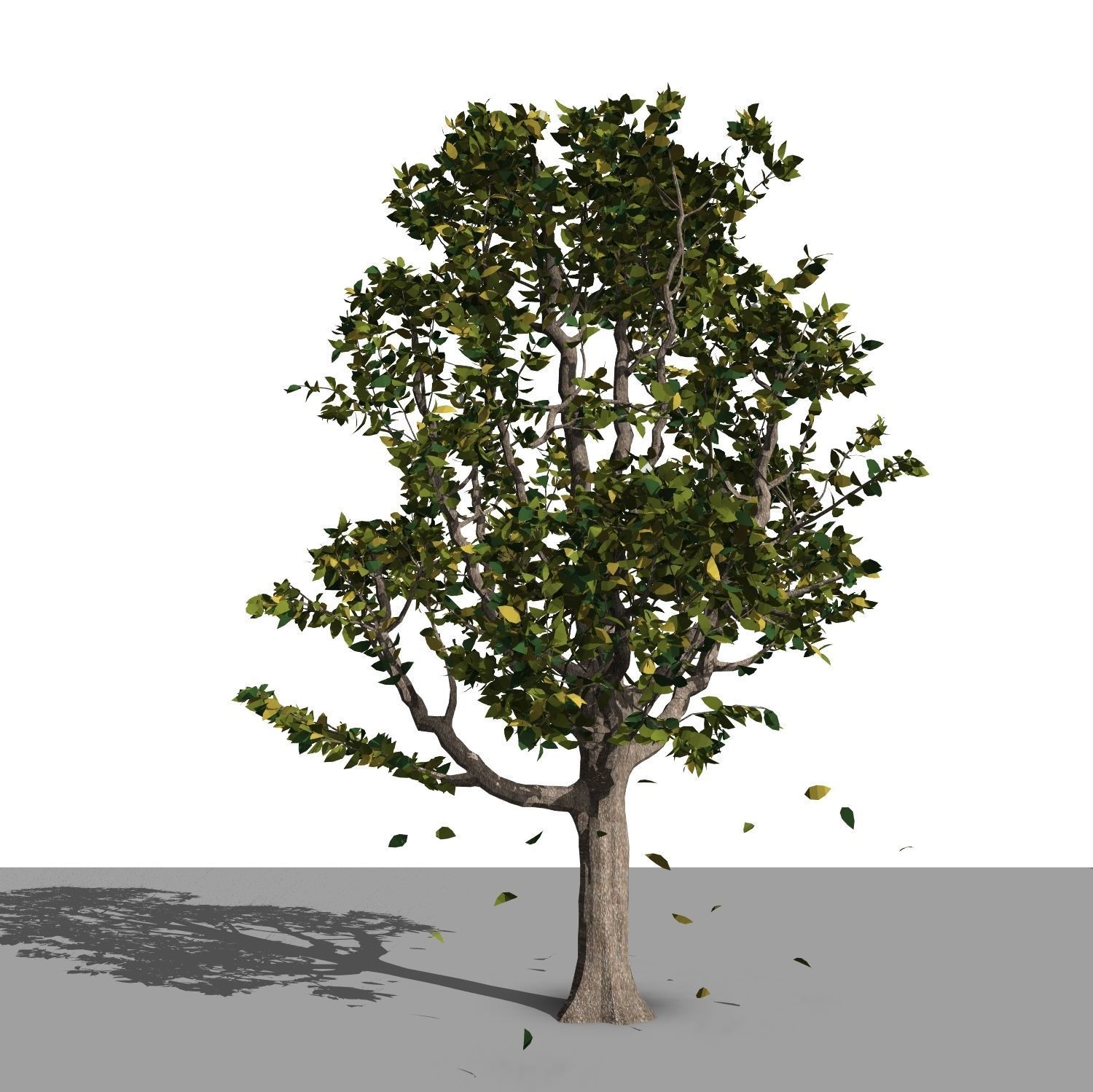 Revit scalable and detailed tree arquitree22 detailed 3D model | CGTrader