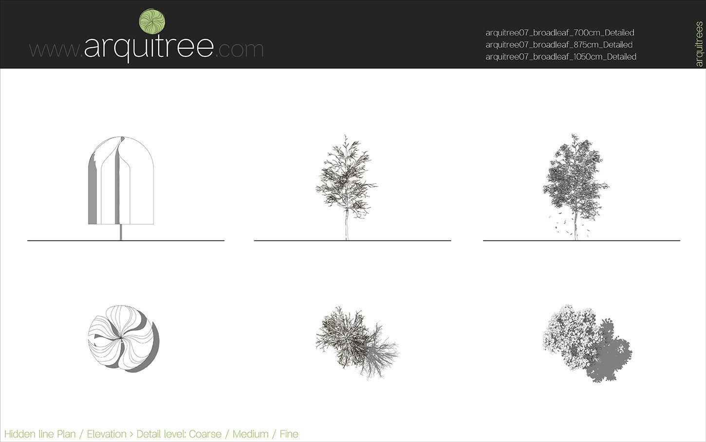 Revit scalable and detailed tree arquitree07 detailed 3D model | CGTrader