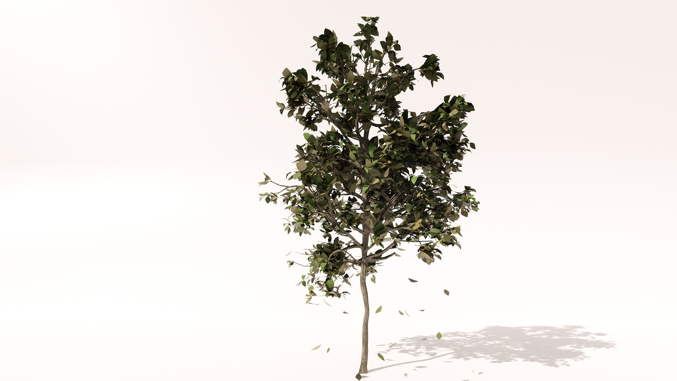 Revit scalable and detailed tree arquitree07 detailed 3D model | CGTrader