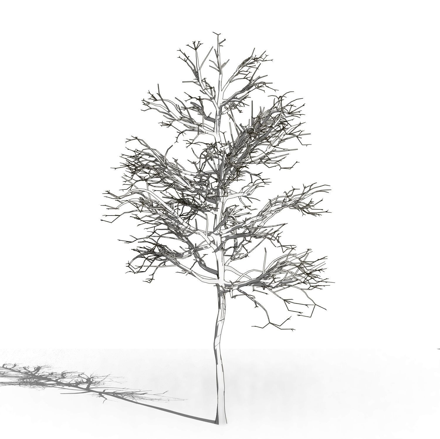 Revit scalable and detailed tree arquitree07 detailed 3D model | CGTrader
