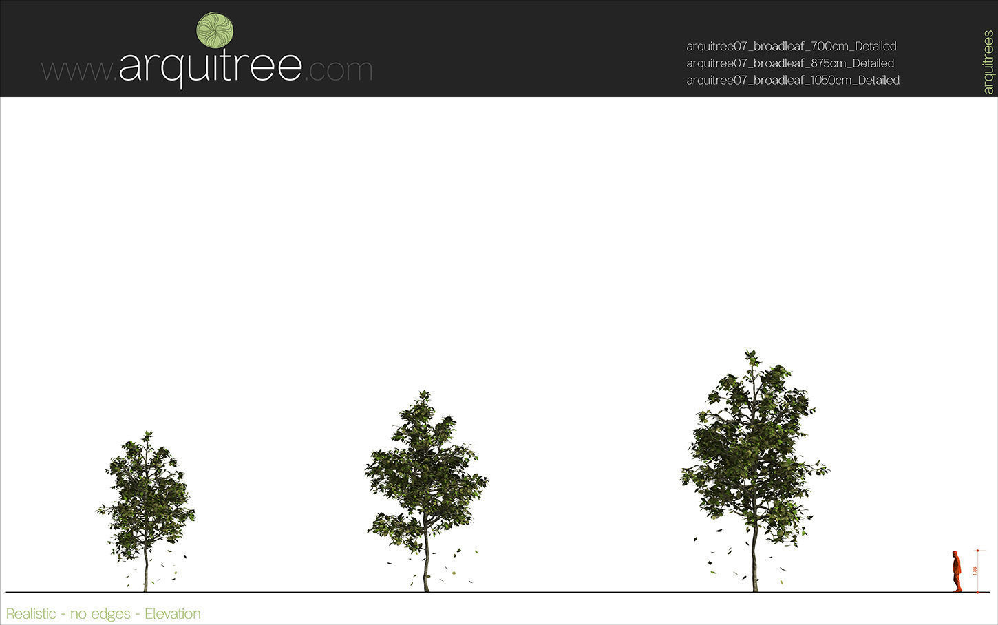 Revit scalable and detailed tree arquitree07 detailed 3D model | CGTrader