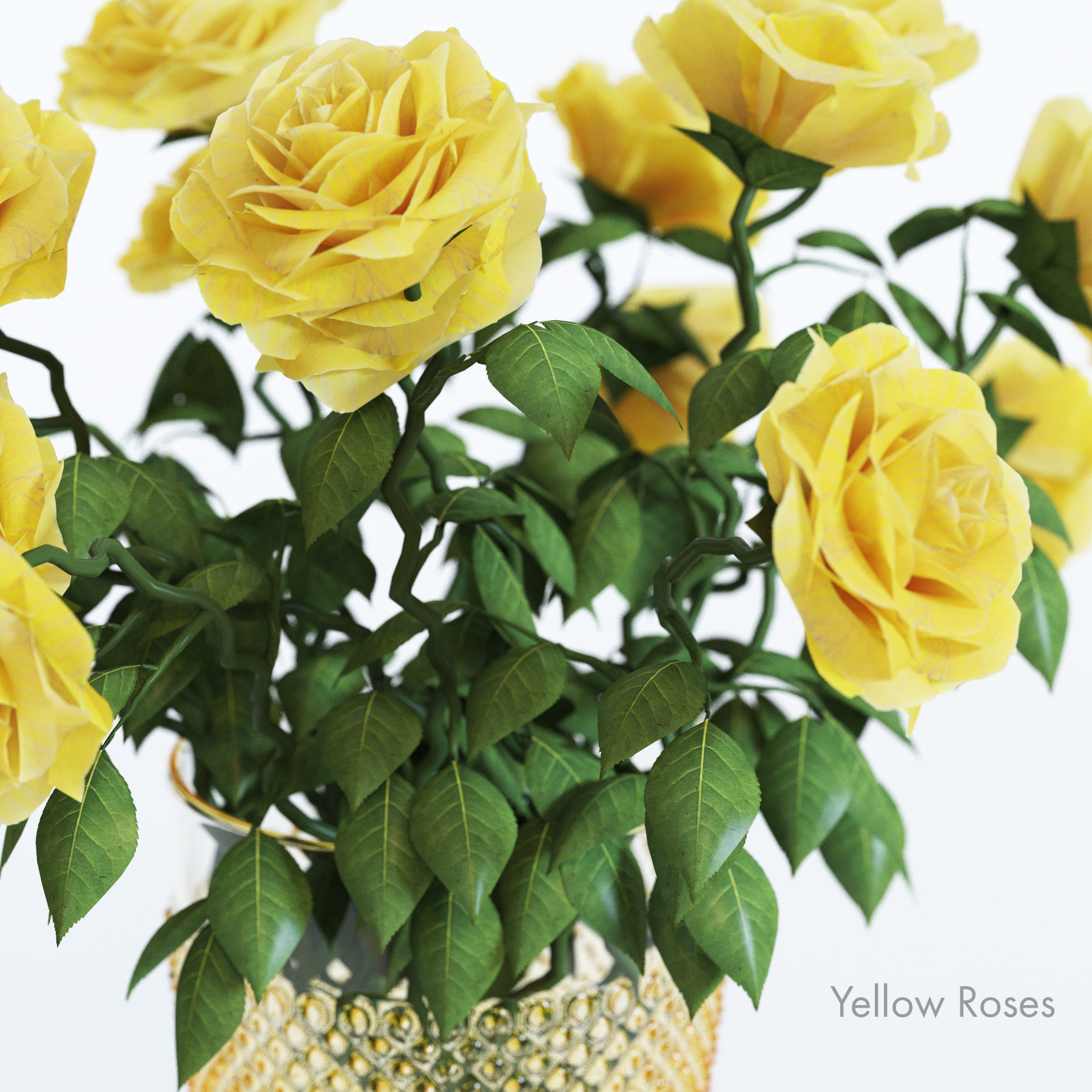 Yellow roses 3D model | CGTrader