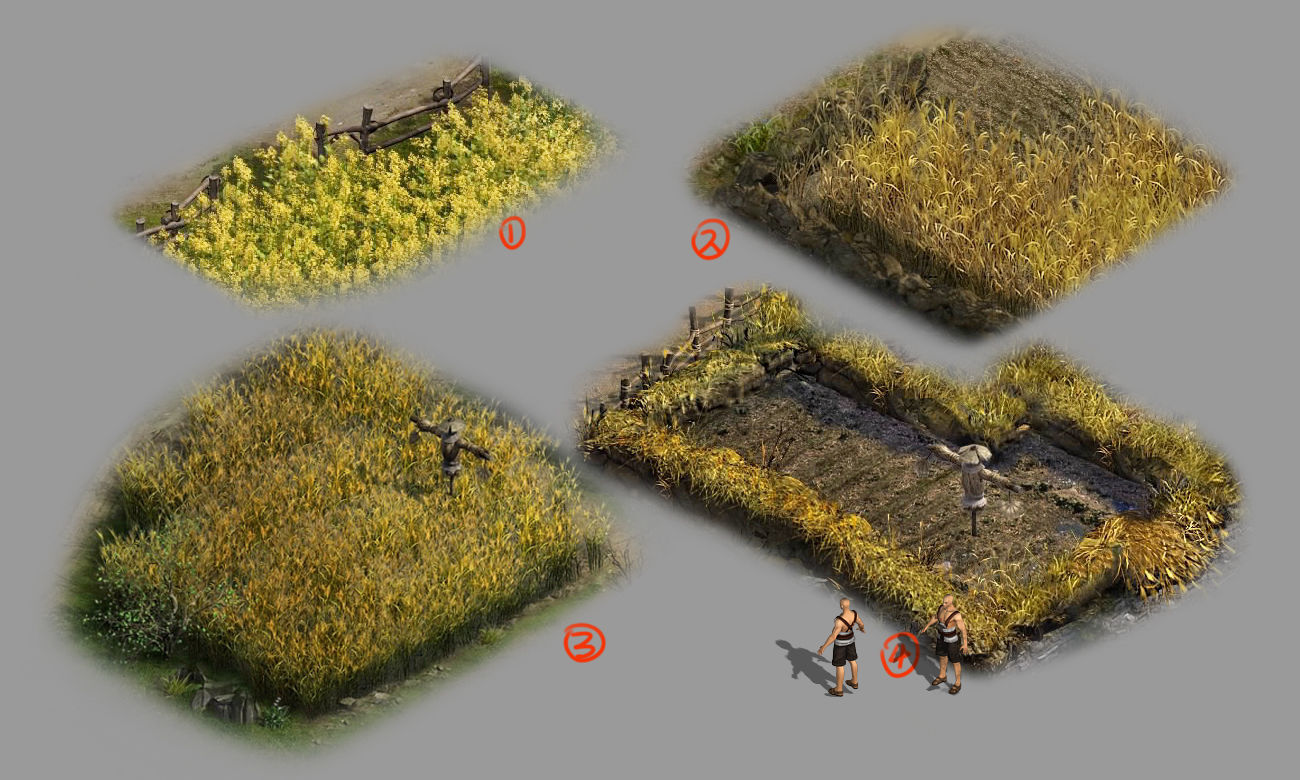 Paddy field 04 3D model | CGTrader