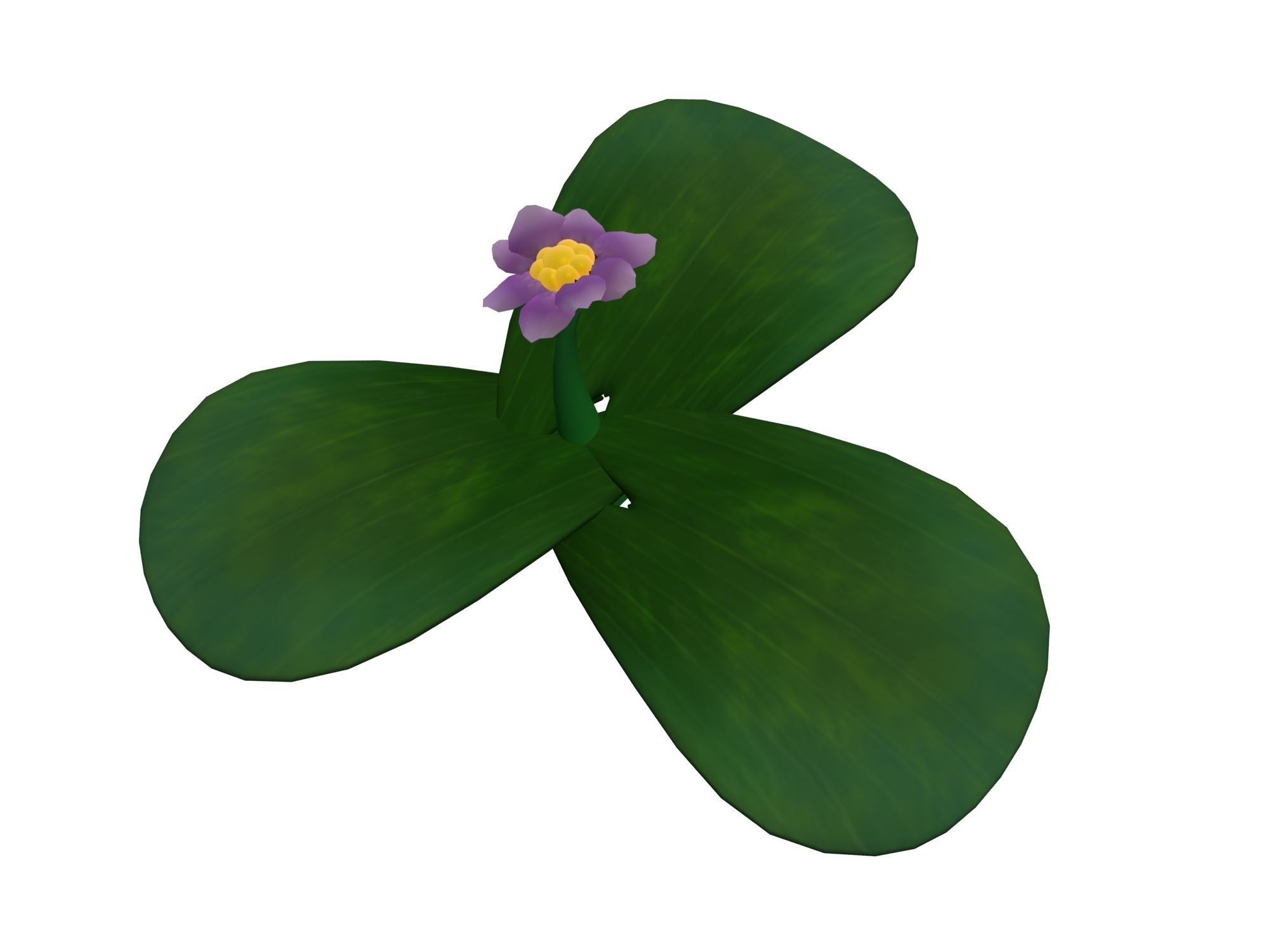 Cartoon plant - clover 3D model | CGTrader