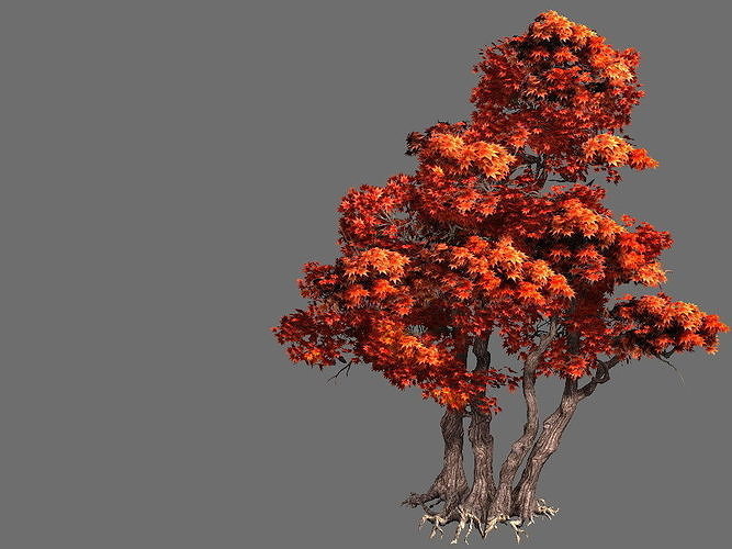 Game Model - Forest - Maple Tree 7 3D model | CGTrader