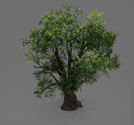 Game Model - Forest - Tree 04 3D model | CGTrader