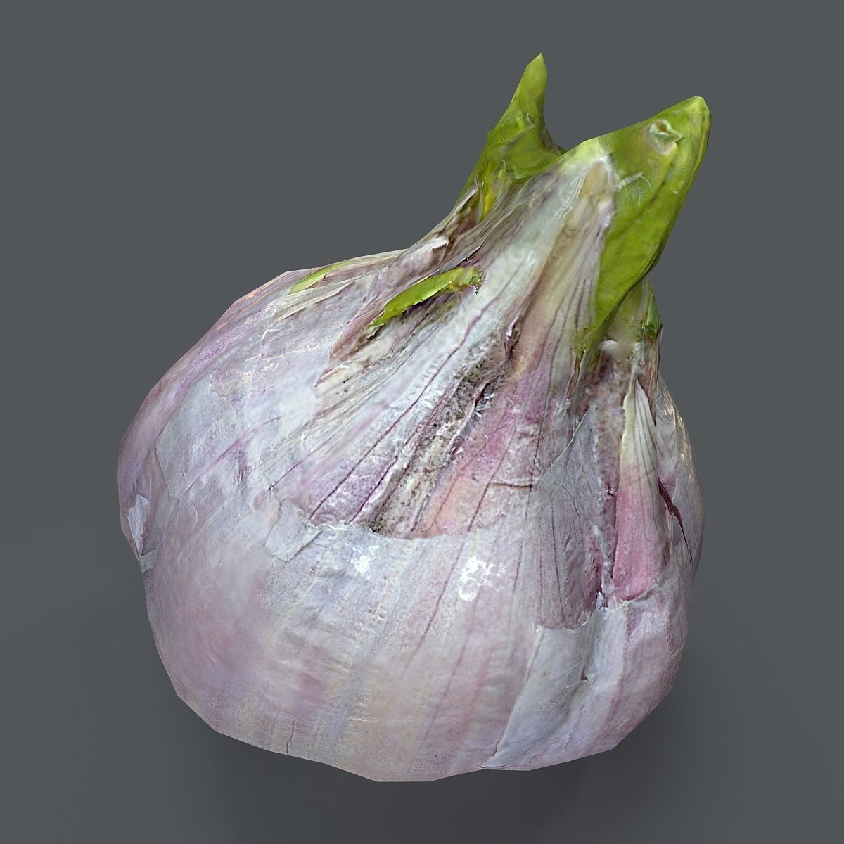 Garlic 3D asset game-ready PBR | CGTrader