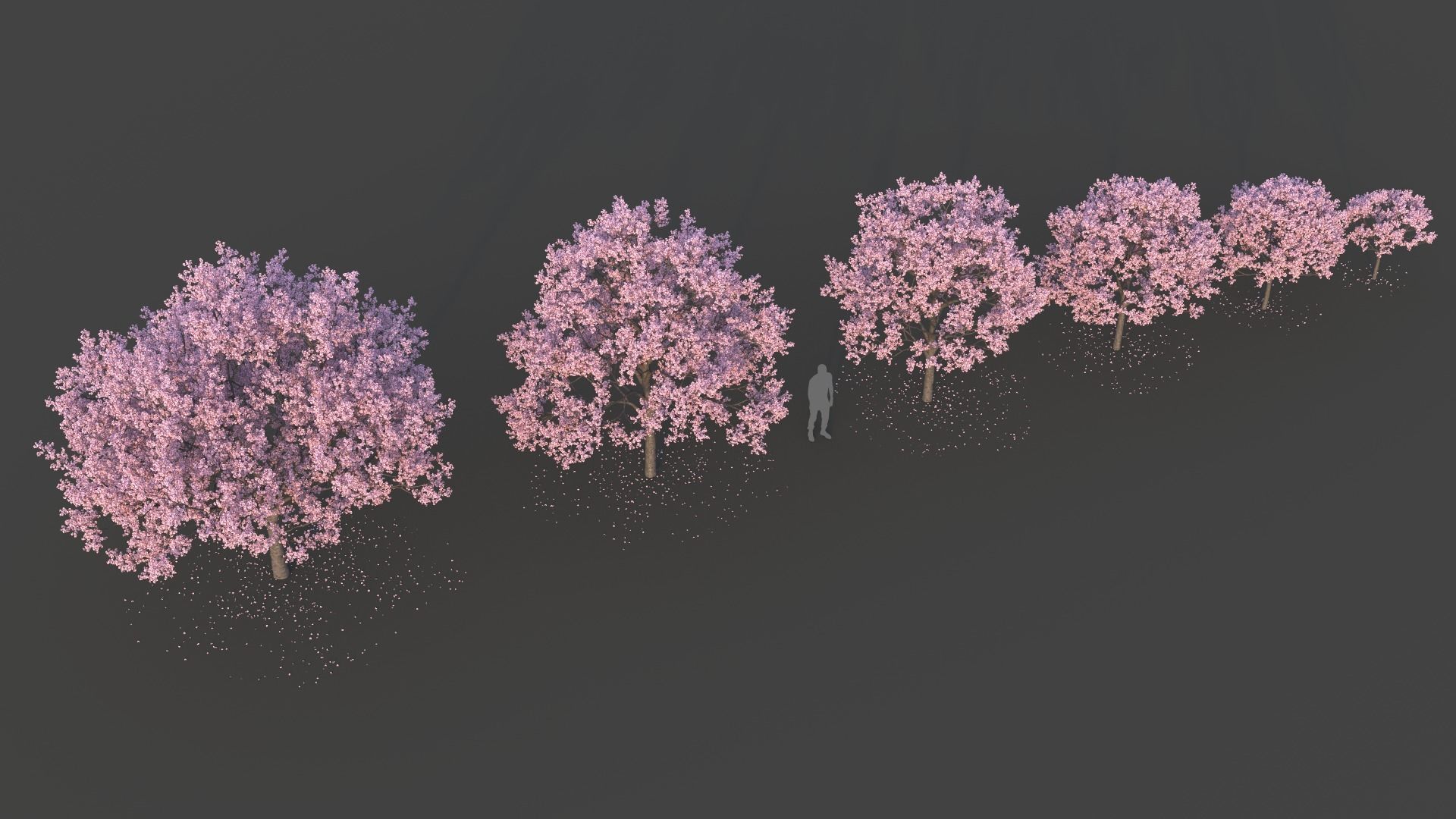 Sakura Tree Set 3D model | CGTrader