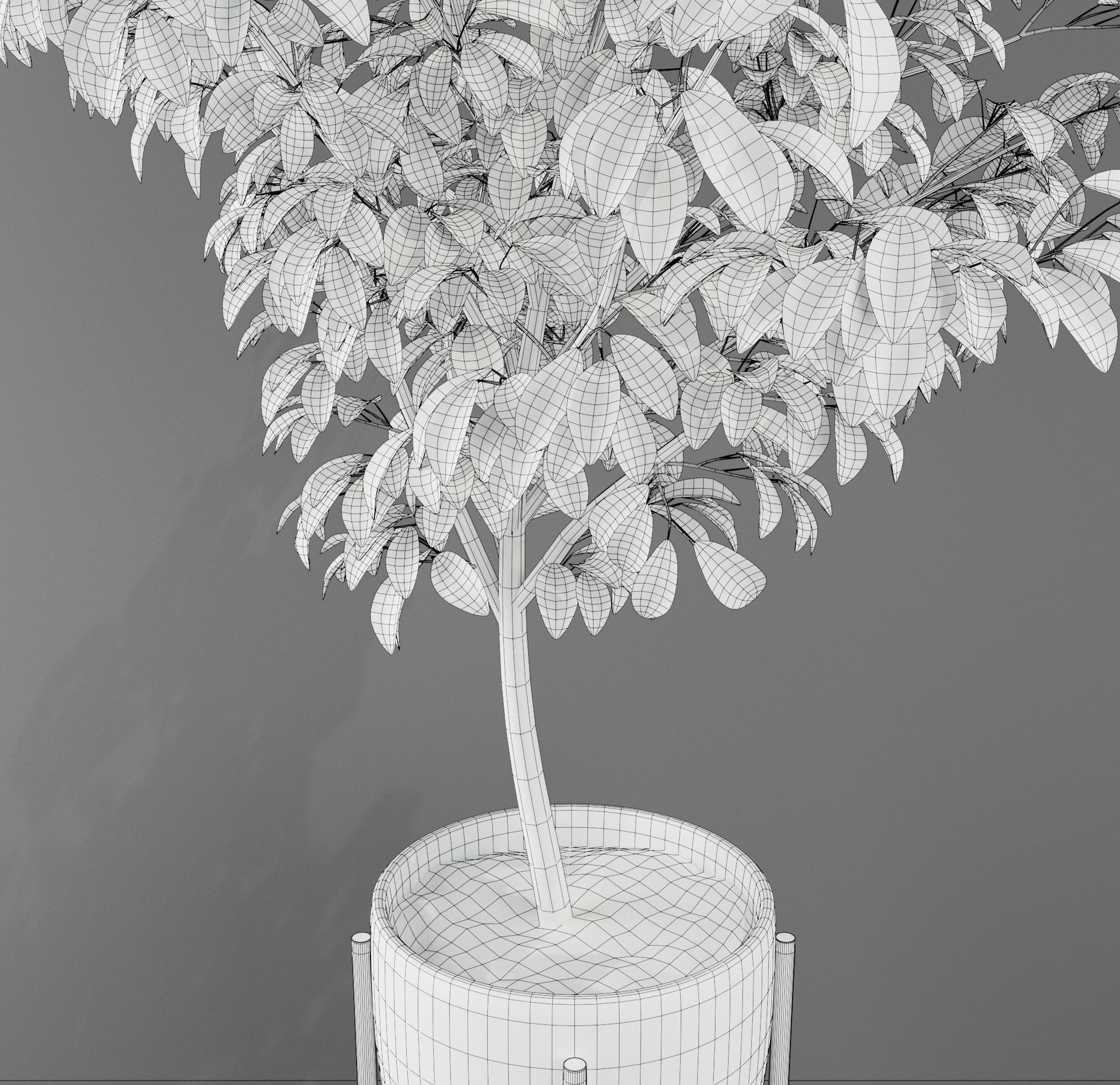 Small Tree pot plant 3D model | CGTrader