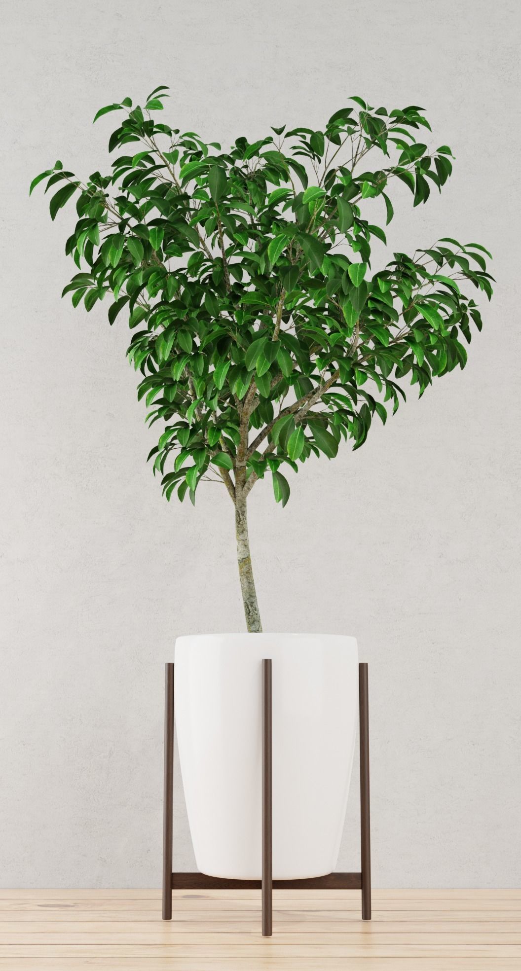 Small Tree pot plant 3D model | CGTrader