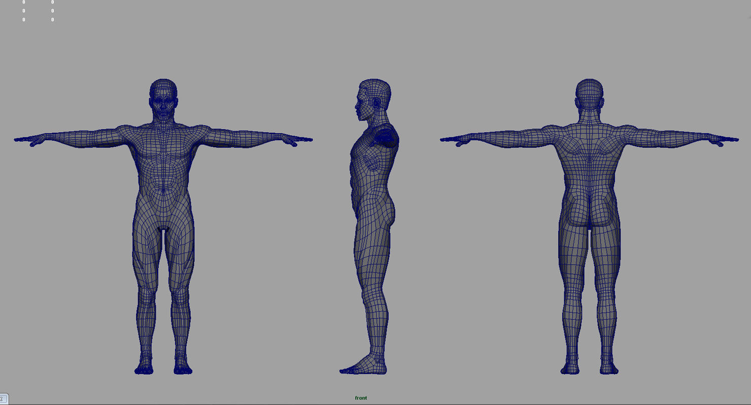African American human body 3d model 3D model | CGTrader