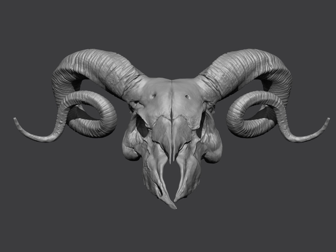 3D model Ram Skull - Lowpoly and Highpoly VR / AR / low-poly | CGTrader