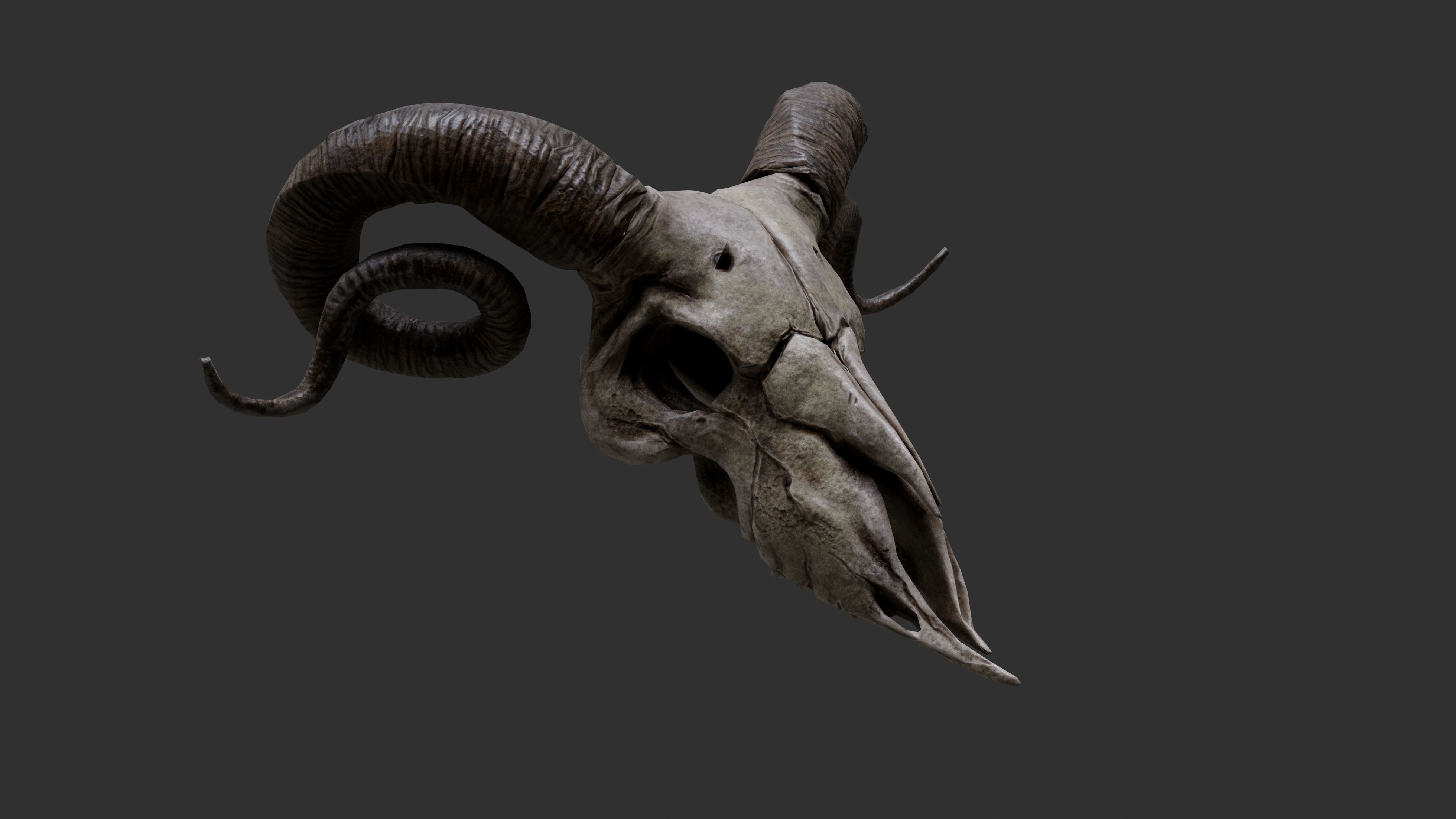 3D model Ram Skull - Lowpoly and Highpoly VR / AR / low-poly | CGTrader