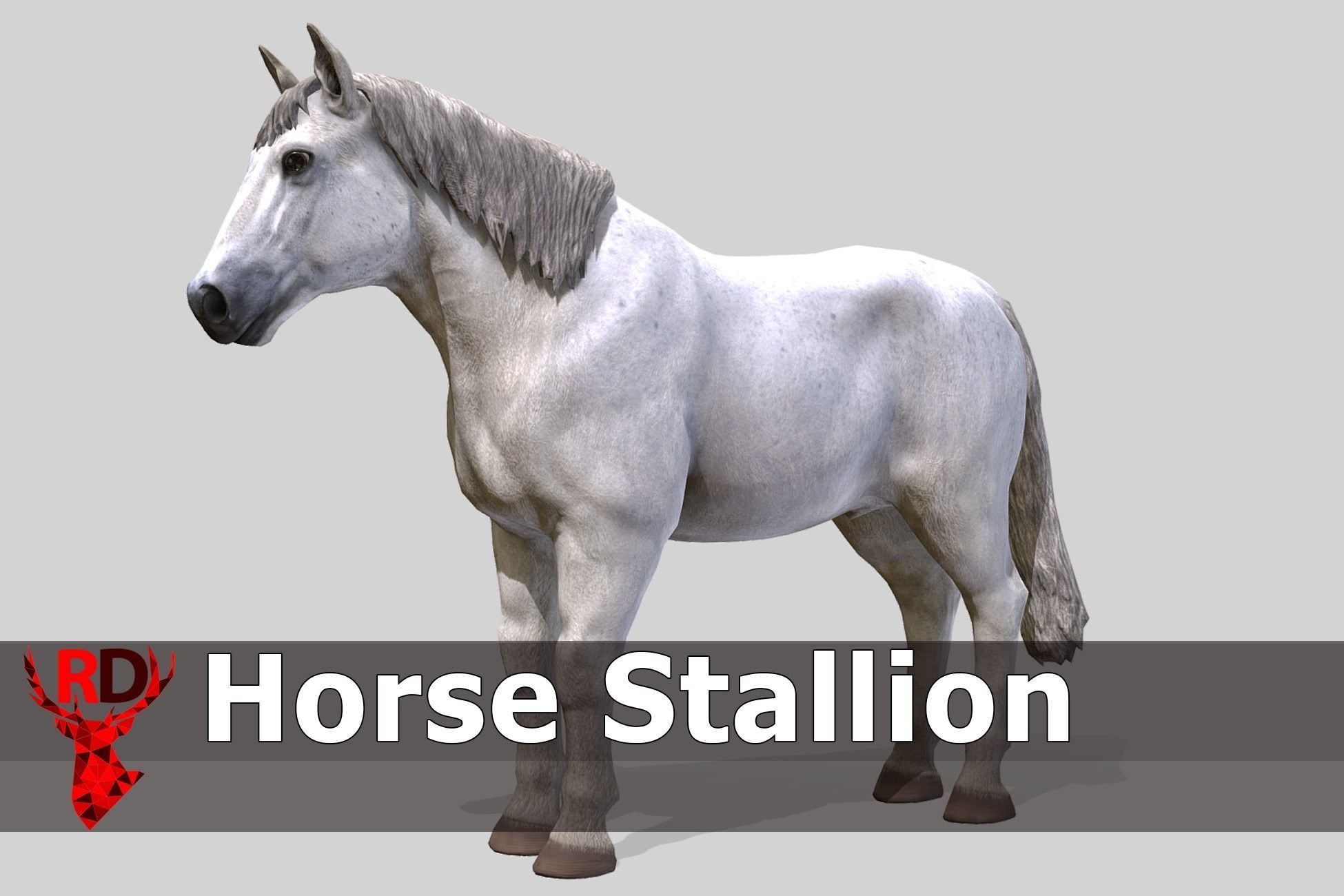 3D model Horse Stallion VR / AR / low-poly rigged animated | CGTrader