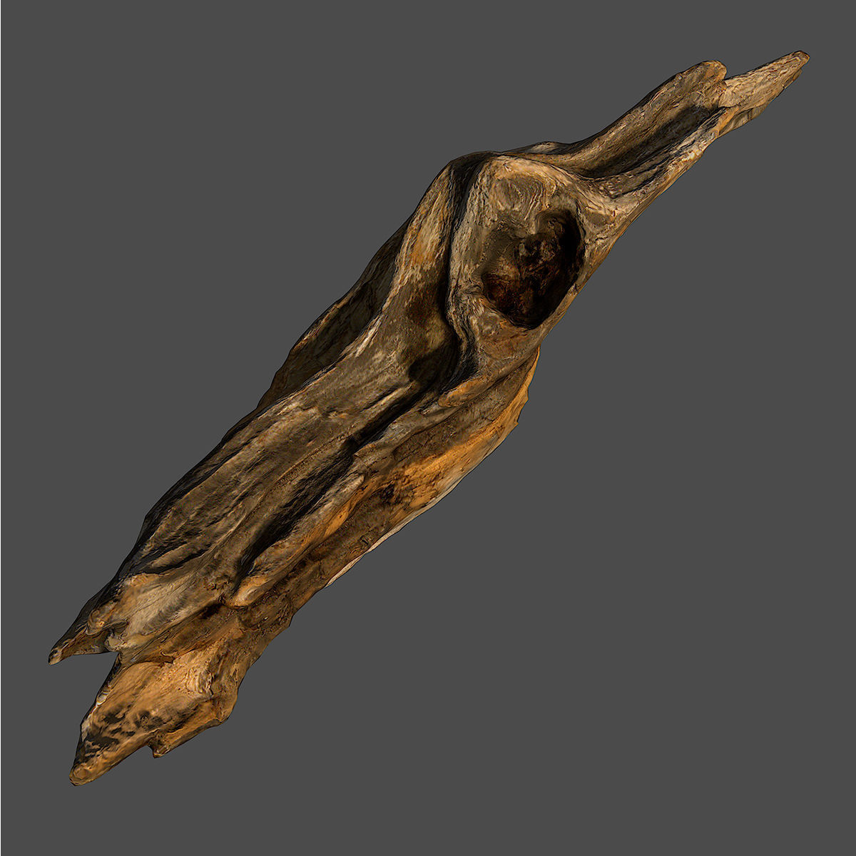 3D model Wooden Snag VR / AR / low-poly | CGTrader