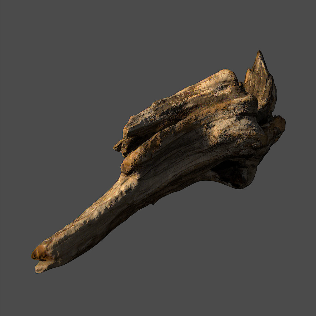 3D model Wooden Snag VR / AR / low-poly | CGTrader