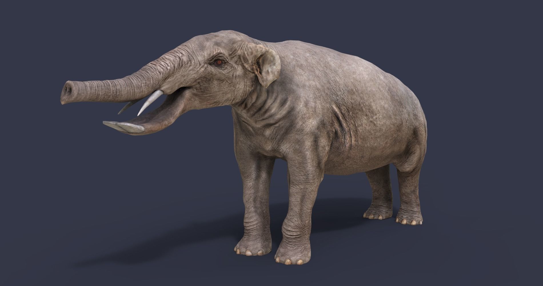3D model Platybelodon elephant VR / AR / low-poly | CGTrader