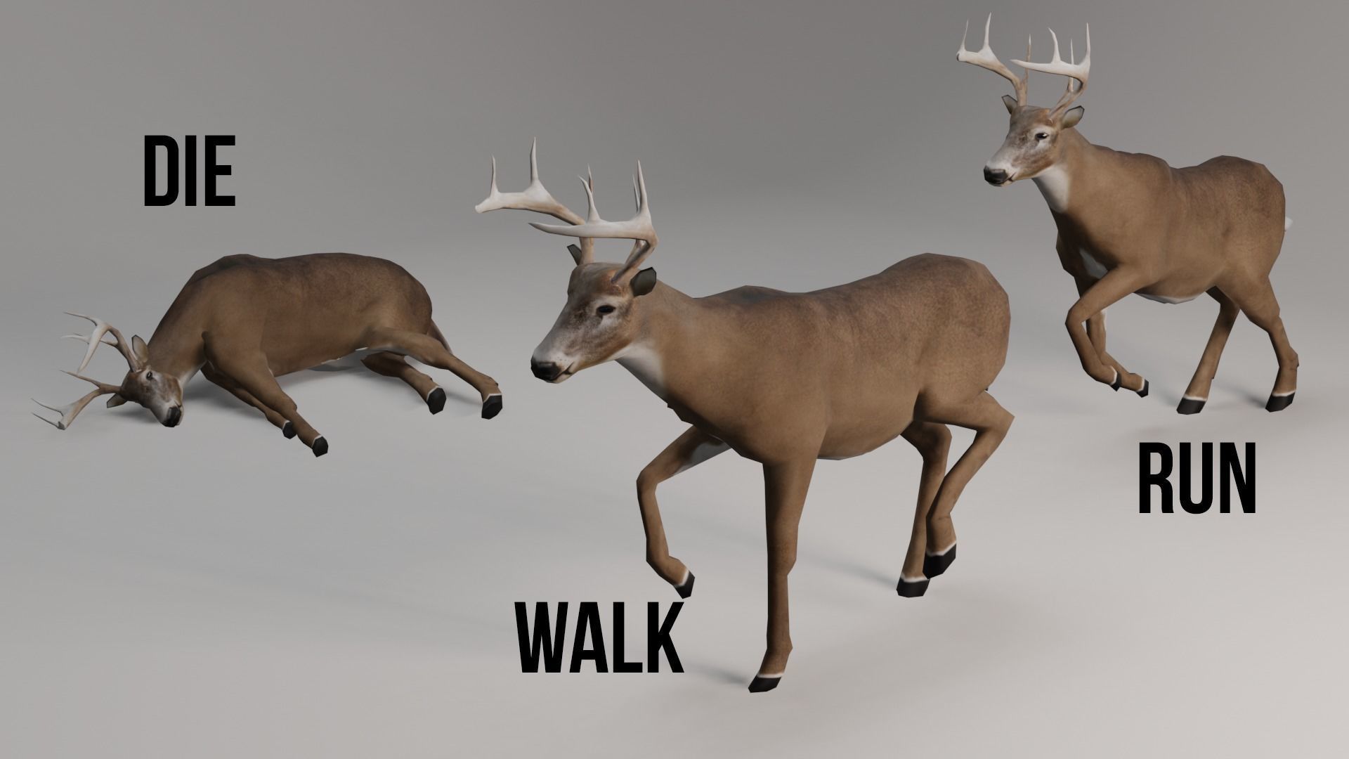 3D model White-Tailed Deer VR / AR / low-poly | CGTrader