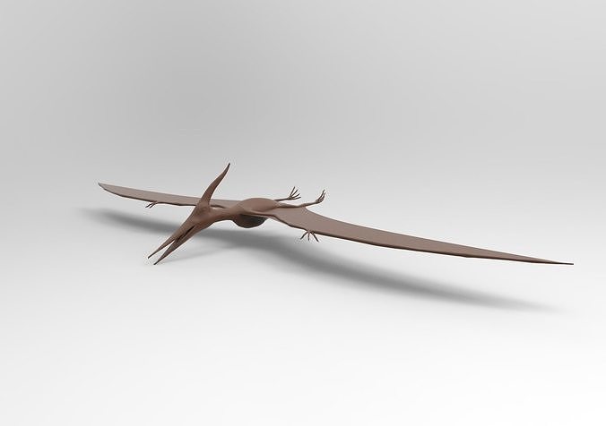 Pteranodon 3D model 3D printable | CGTrader