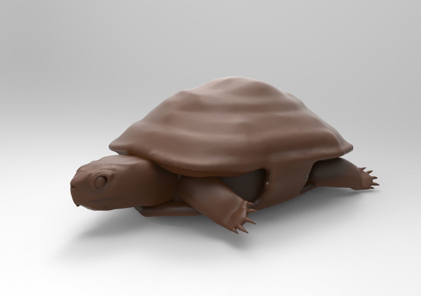 3D printable model Tortoise | CGTrader