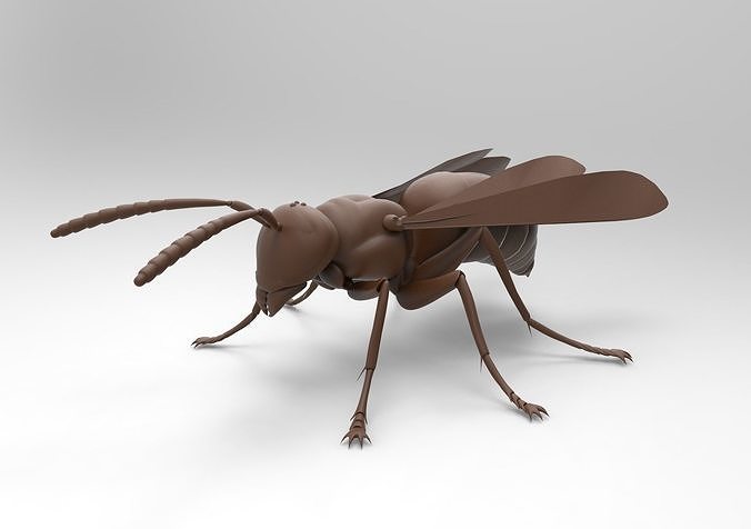 Bee model wasp 3D model 3D printable | CGTrader